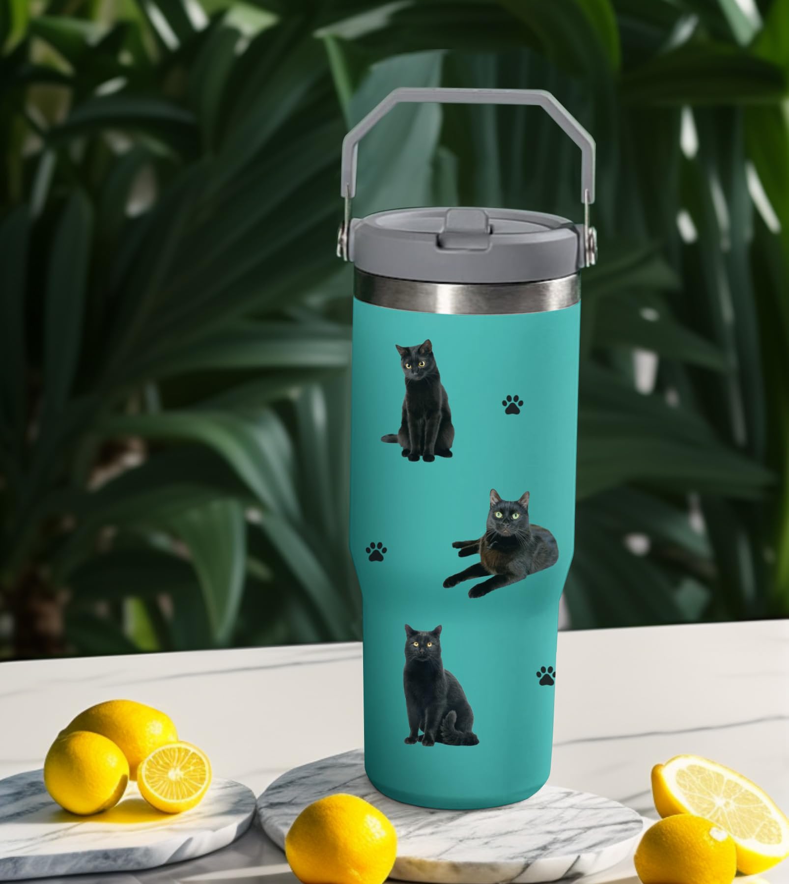 30oz Stainless Steel Vacuum Insulated Water Bottle (Cat-Blue)