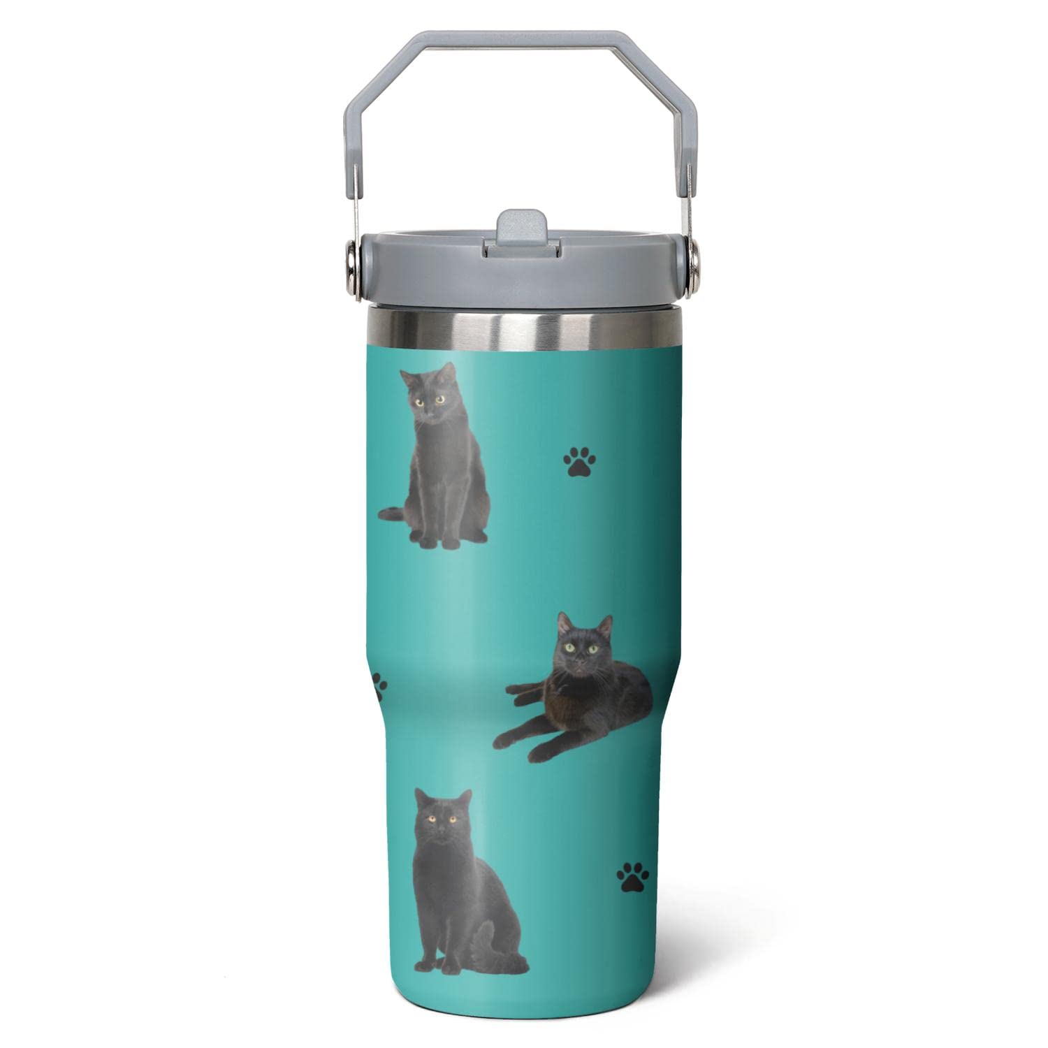 30oz Stainless Steel Vacuum Insulated Water Bottle (Cat-Blue)