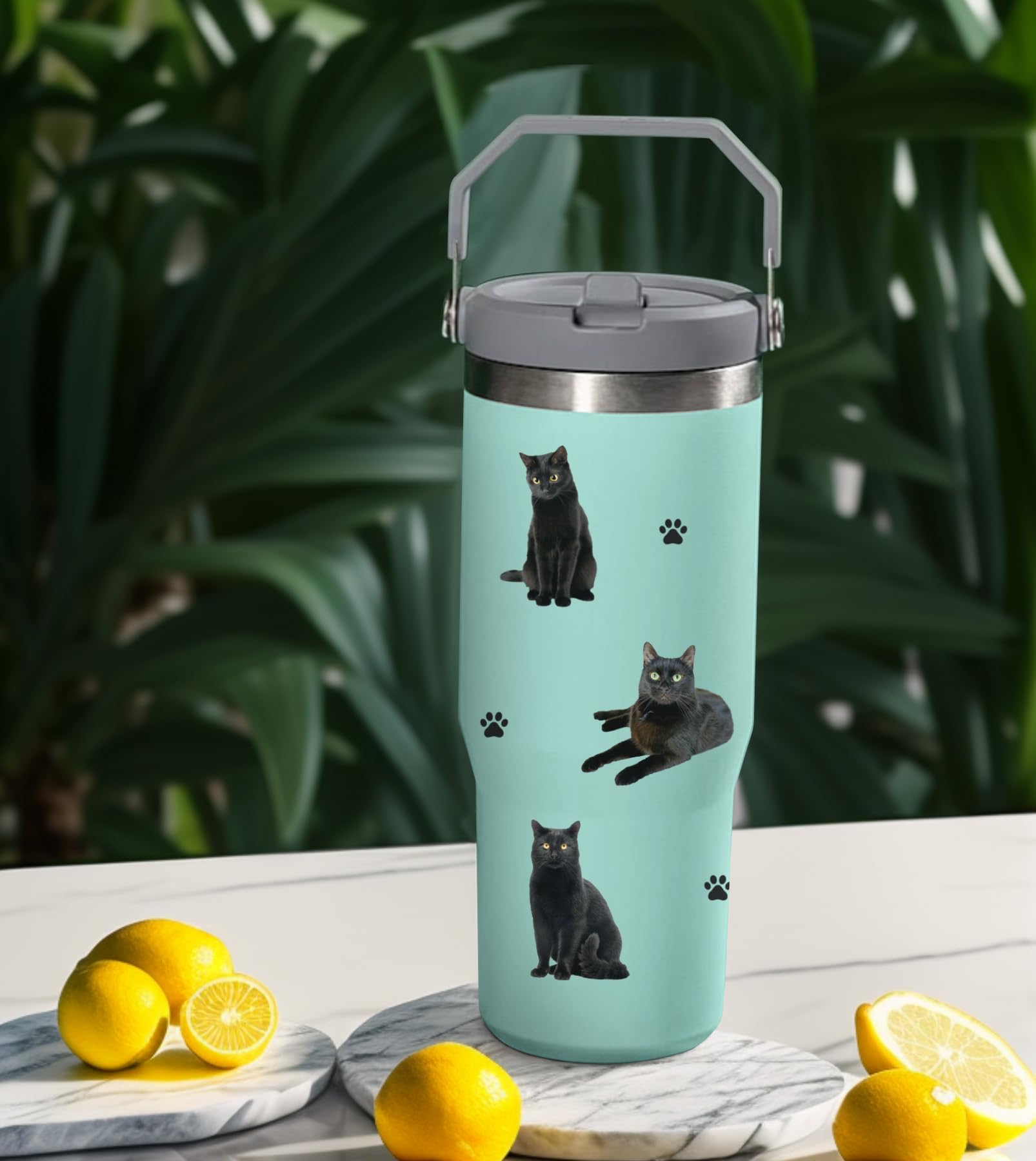 Cat Tumbler for Cat Owners, 30oz Stainless Steel Vacuum Insulated Water Bottle (Cat-Seaform)