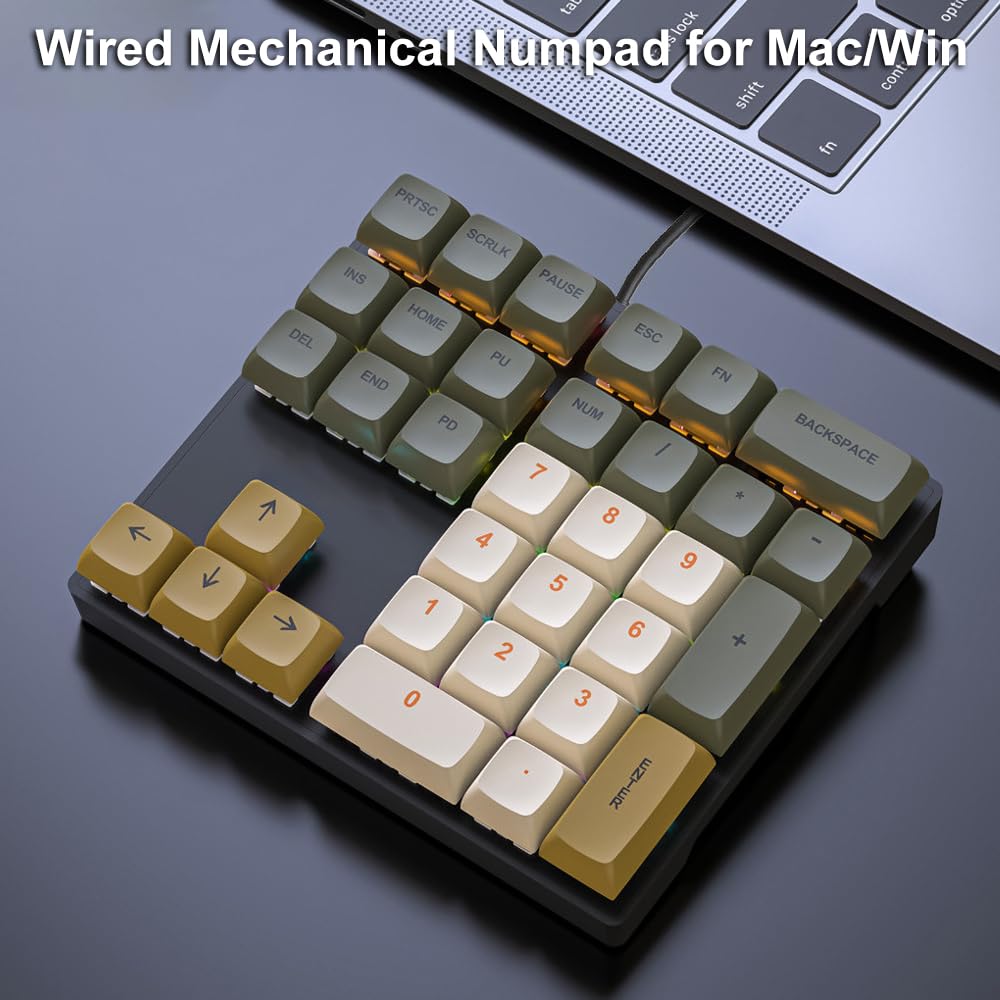LINKEET Mechanical Numpad Rainbow Backlit Clicky Blue Switches Wired USB Number Pad 33-Key NKRO Numeric Keypad with XDA PBT Keycaps External Keyboard Num Pad for Laptop, Mac - Brown Grey