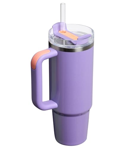 Stanley Quencher H2.0 Tumbler with Handle and Straw 30 oz | Flowstate 3-Position Lid | Cup Holder Compatible for Travel | Insulated Stainless Steel Cup | BPA-Free | Periwinkle Shimmer