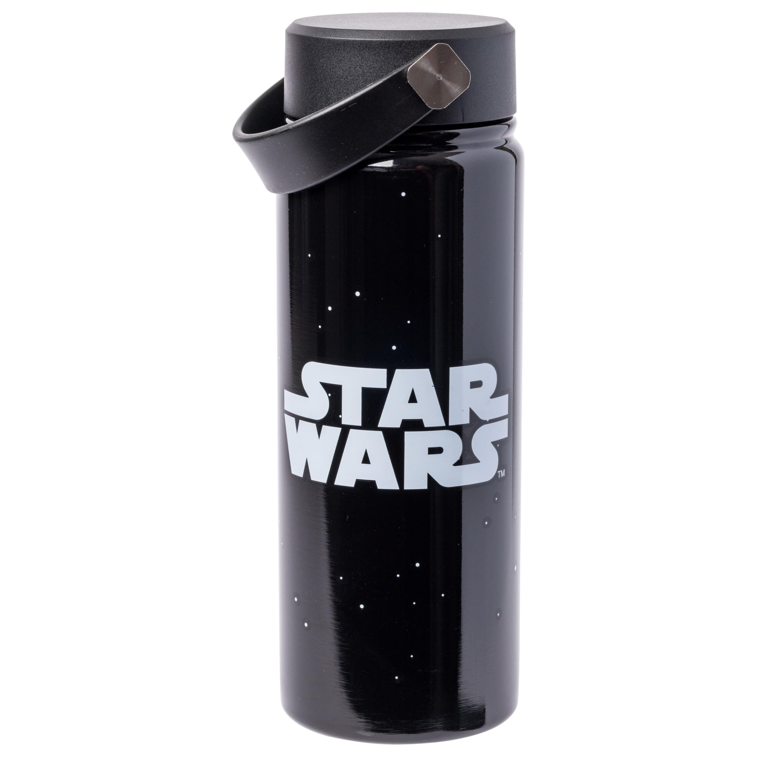 Silver Buffalo Star Wars Stainless Steel Water Bottle with Swivel Handle Featuring Star Wars Logo, 20 Ounces