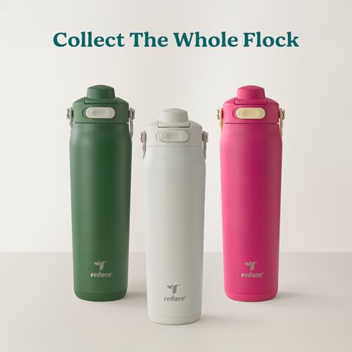 REDUCE Aura Vacuum Insulated 26 oz Water Bottle - Leak-Proof & Chug Spout for Quick Hydration - Keeps Drinks Cold for 30 Hours - Removable Handle for Travel or Gym - Soft Sit Base - Mineral Blue