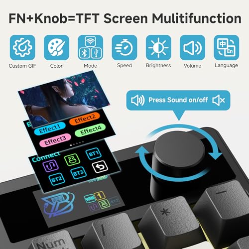 BOYI TD31Pro Mechanical Number Pad,Bluetooth5.0/2.4G/Type-C Wireless Numeric Keypad,RGB HotSwap Numpad with Screen&Knob,PBT Keycaps Rechargeable Gasket Number keypad for PC Laptop Desktop(Black-Grey)