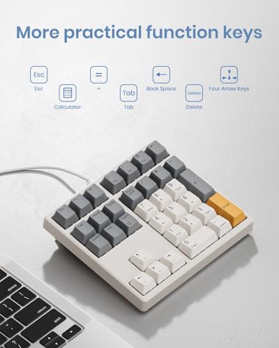 FJÄDRAR Mechanical Number Pad, 34 Key Hot Swappable Numpad with Gateron Brown Switches, USB Wired Numeric Keypad with PBT Keycaps White Backlit Number Pad for Laptop, MacBook,PC Desktop