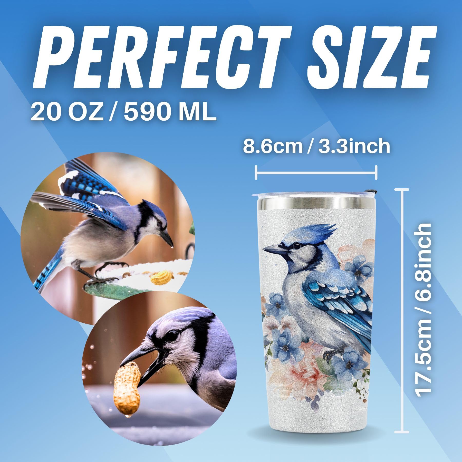 Onebttl Blue Jay Gifts Tumbler Travel Coffee Mug, Stainless Steel Insulated with Lid 20oz/590ml