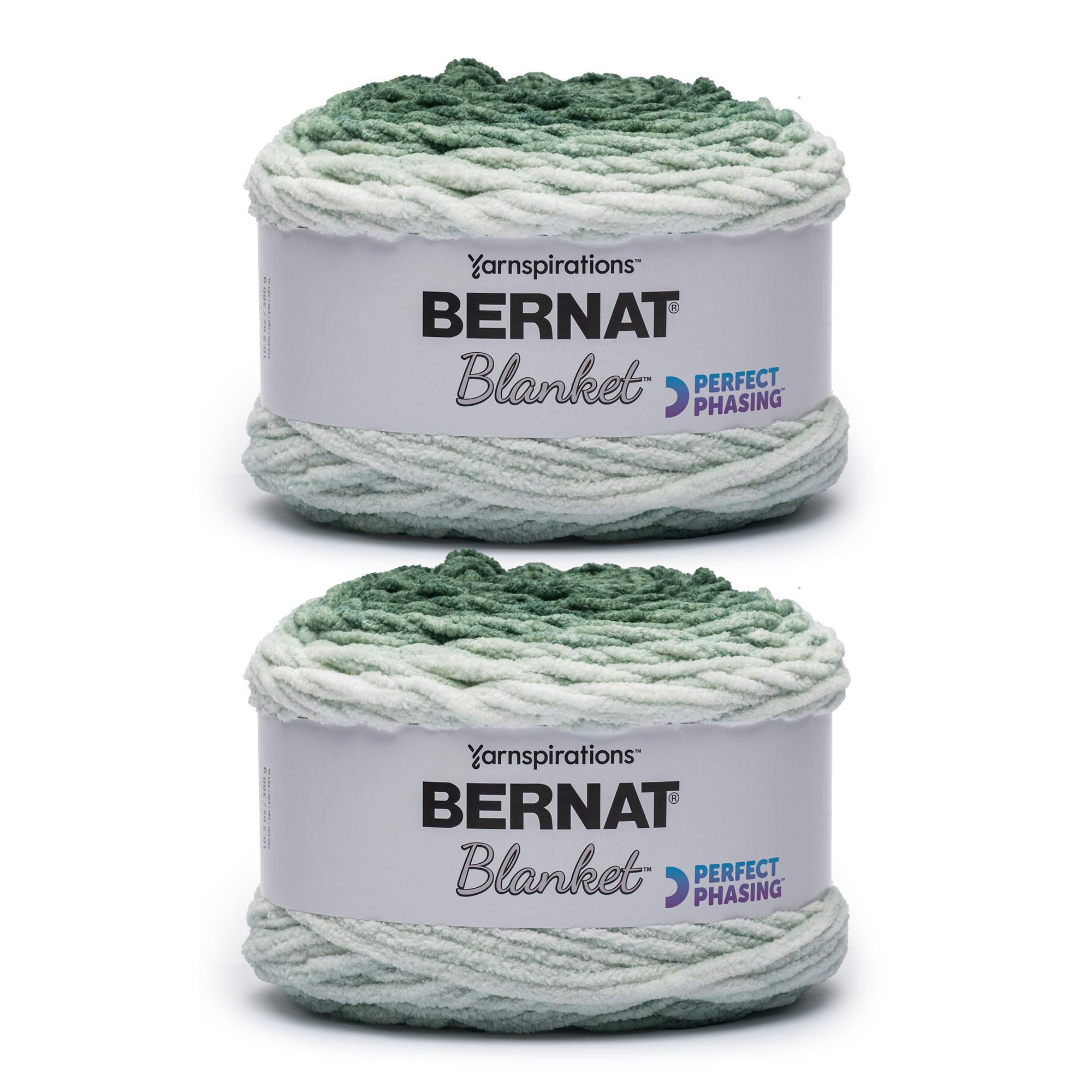 Bernat Blanket Perfect Phasing - 2 Pack of 220 Yards/10.5 oz Forest 100% Polyester Yarn