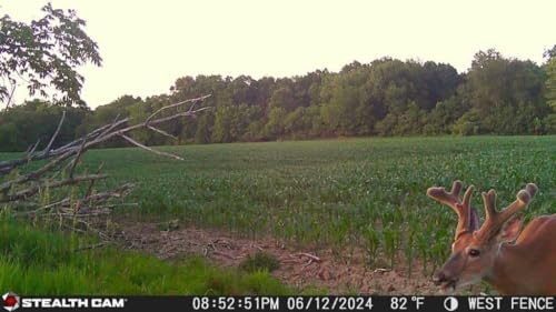Stealth Cam Revolver 36MP Trail Camera with 1080P HD Video at 30 FPS, 0.4 Sec Trigger Speed, 360° Panoramic View, Built-in GPS, Verizon/AT&T Cellular, 32GB SD Card, Cloth, and Solar Panel