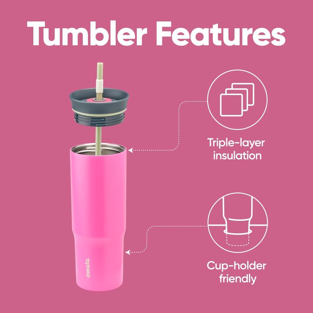 Owala 24oz Insulated Stainless Steel Tumbler and Water Bottle Bundle with Straws and Lids, Brown/Pink and Dreamy Field