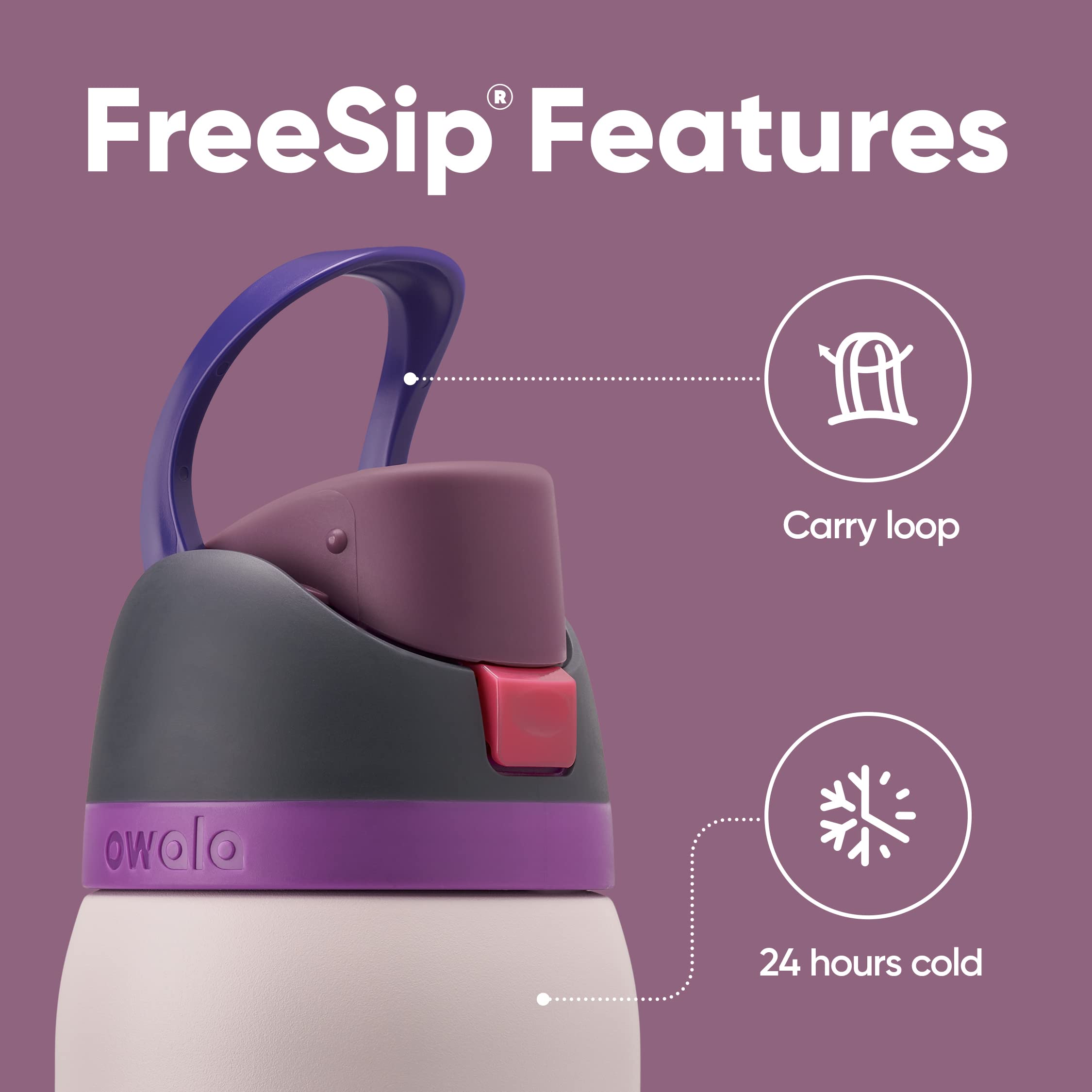 Owala 24oz Insulated Stainless Steel Tumbler and Water Bottle Bundle with Straws and Lids, Brown/Pink and Dreamy Field