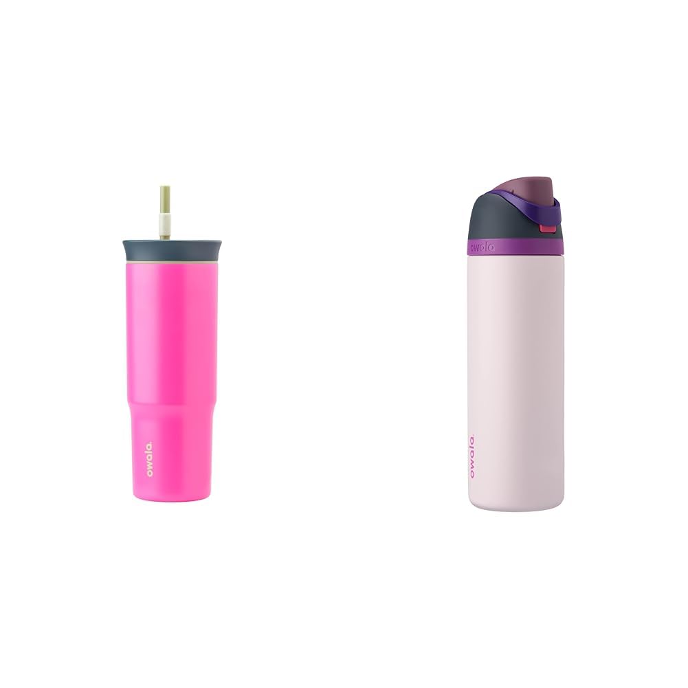 Owala 24oz Insulated Stainless Steel Tumbler and Water Bottle Bundle with Straws and Lids, Brown/Pink and Dreamy Field