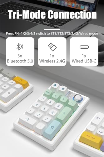 TISHLED Gasket Creamy Mechanical Numpad Programmable Macro Keypad Wireless 2.4G/Bluetooth 5.0/Wired USB-C RGB Backlit Hot Swappable Number Pad Rechargeable Numeric Keyboard Metal Knob for Win/Mac