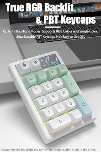 TISHLED Gasket Creamy Mechanical Numpad Programmable Macro Keypad Wireless 2.4G/Bluetooth 5.0/Wired USB-C RGB Backlit Hot Swappable Number Pad Rechargeable Numeric Keyboard Metal Knob for Win/Mac