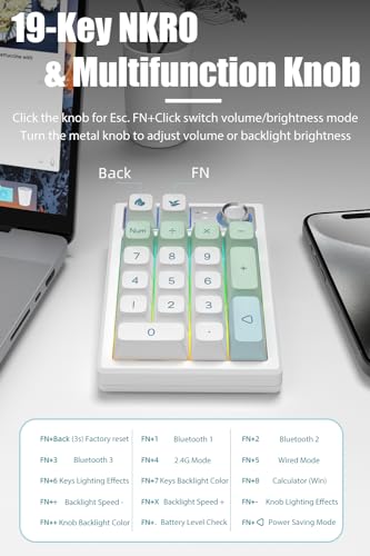 TISHLED Gasket Creamy Mechanical Numpad Programmable Macro Keypad Wireless 2.4G/Bluetooth 5.0/Wired USB-C RGB Backlit Hot Swappable Number Pad Rechargeable Numeric Keyboard Metal Knob for Win/Mac