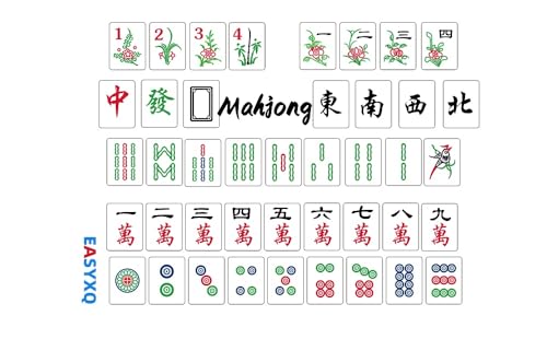 EASYXQ Mahjong Game Double Wall Insulated Tumbler Travel Cup, 16oz Reusable Plastic Mug with Lid Keeps Drinks Cold & Hot, BPA Free, Perfect for Parties, Birthday, Clear