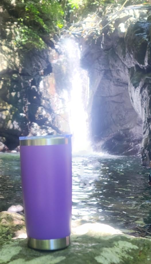 Generic 20 Oz Insulated Tumbler (Copper)