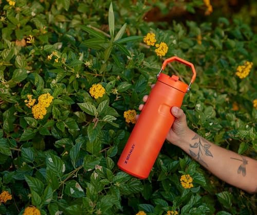 Stanley IceFlow Flip Straw 2.0 Water Bottle 24 OZ | Built-In Straw with Larger Opening | Lightweight & Leak-Resistant | Insulated Stainless Steel | BPA-Free | Pomelo