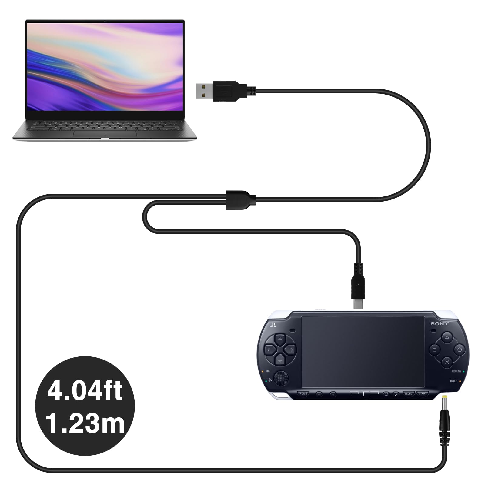 Pickle Power PSP 3000/2000 Battery with PSP Charger Cable for PSP 3000 / PSP Slim 2000 PSP-S110,PSP-3001, PSP-3000, PSP-3002, PSP-3004, PSP-2001, PSP Slim Console