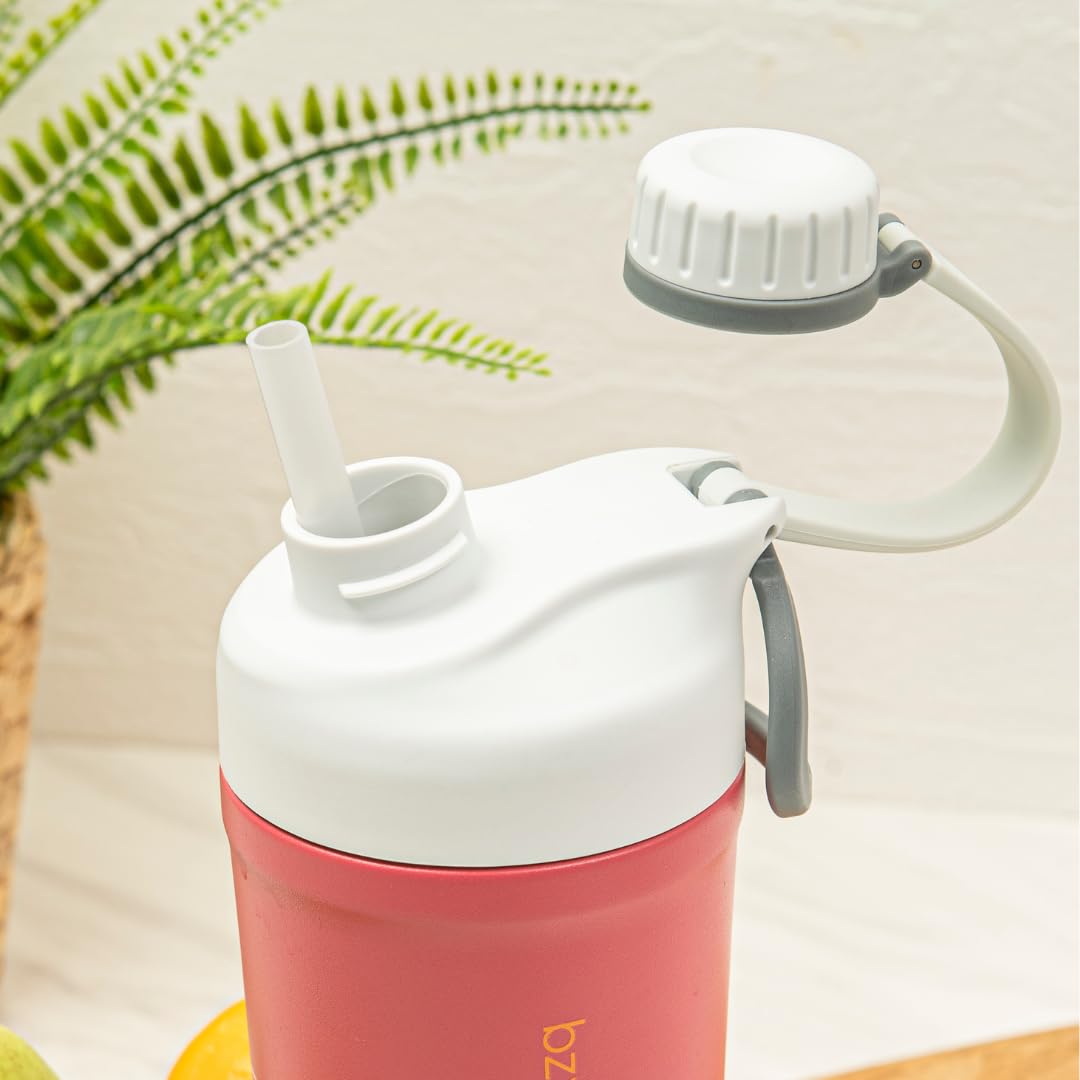 bzyoo 26oz Double-Walled Stainless Steel Insulated Tumbler with Straw Leak Proof Ideal for Smoothies, Ice Tea or Coffee Includes Mixer Ball BPA Free - Organica Red