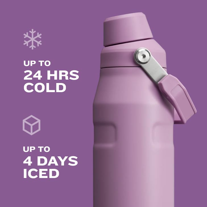 Stanley IceFlow Fast Flow Water Bottle 24 oz | Angled Spout Lid | Lightweight and Leakproof for Travel and Sports | Insulated Stainless Steel | BPA-Free | Ash