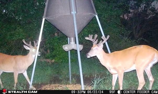 Stealth Cam Flashback 40MP 0.4 Sec Trigger Speed True Color Nighttime Photos White Xenon Flash App-Controlled Hunting Cellular Trail Camera, Available on Verizon & AT&T