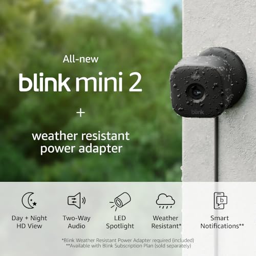 Blink Mini 2 (Newest Model) + Weather Resistant Adapter — Indoor/Outdoor Home Security & Pet Camera(s) with HD video, motion detection, and built-in spotlight — 2 cameras (Black)