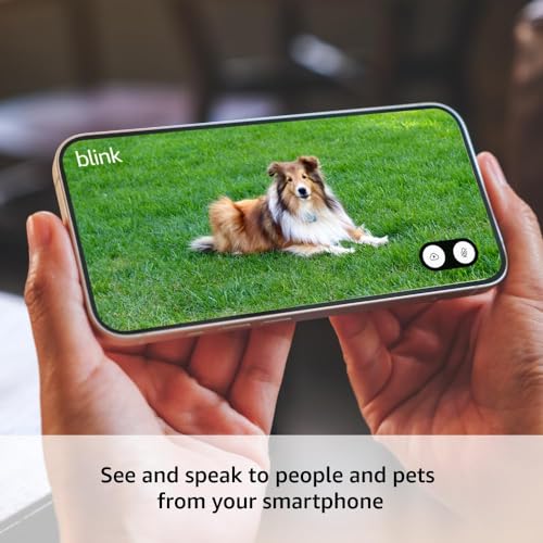 Blink Mini 2 (Newest Model) + Weather Resistant Adapter β Indoor/Outdoor Home Security & Pet Camera(s) with HD video, motion detection, and built-in spotlight β 2 cameras (White)