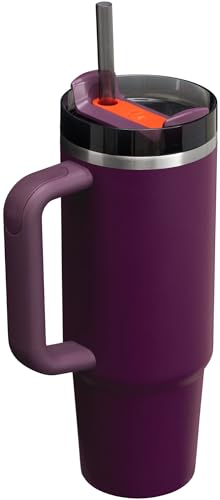 Stanley Quencher H2.0 Tumbler with Handle and Straw 30 oz | Flowstate 3-Position Lid | Cup Holder Compatible for Travel | Insulated Stainless Steel Cup | BPA-Free | Plum