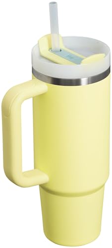 Stanley Quencher H2.0 Tumbler with Handle and Straw 30 oz | Flowstate 3-Position Lid | Cup Holder Compatible for Travel | Insulated Stainless Steel Cup | BPA-Free | Pomelo