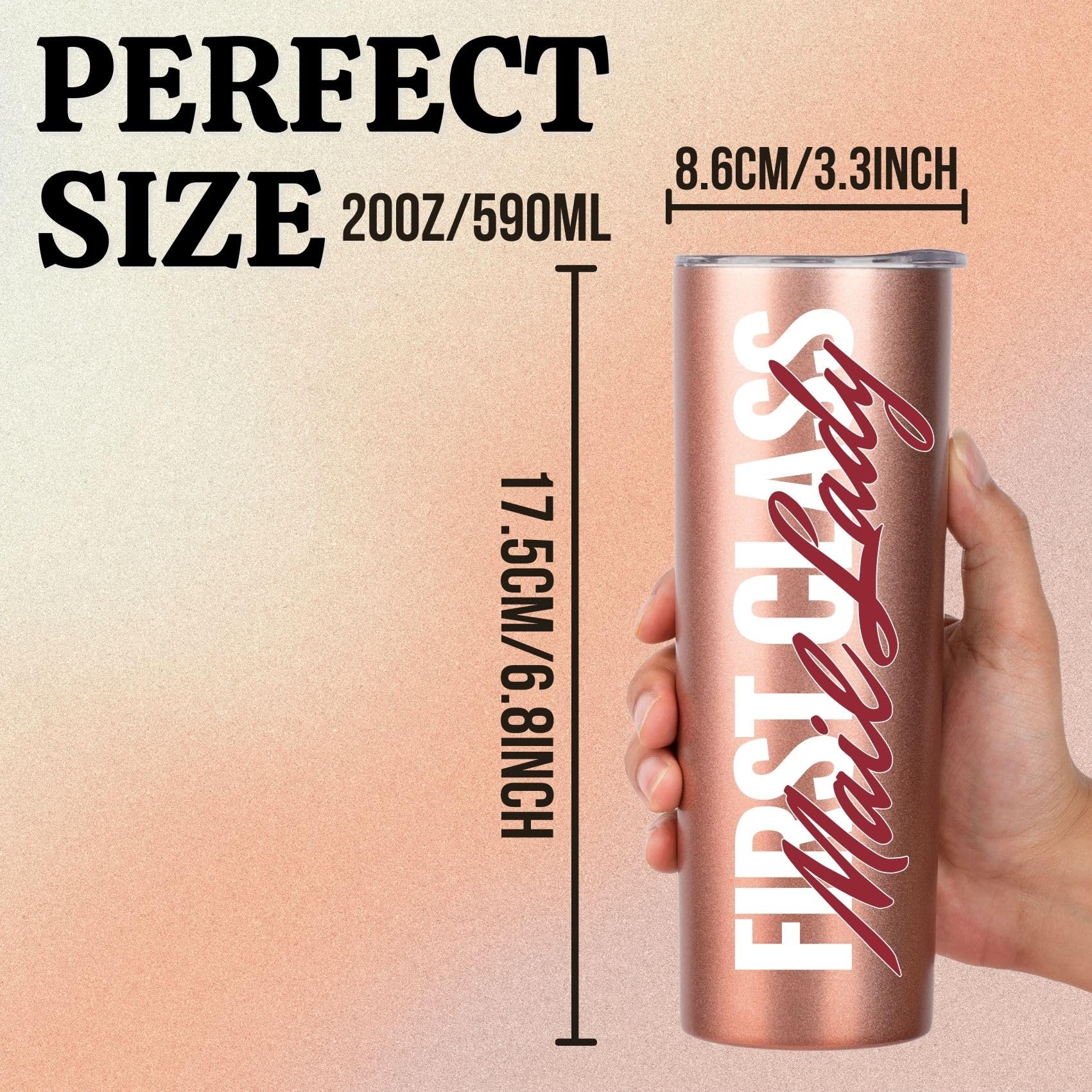 Onebttl Mail Carrier Gifts for Women, Mail Lady Gifts, Gifts for Mail Carrier, Postal Workers, Mail Lady, First Class Mail Lady Stainless Steel Tumbler 20OZ