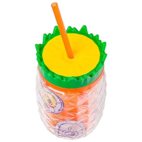 Silver Buffalo Spongebob Squarepants Gary Snail House in Bikini Bottom Pineapple Double Wall Tumbler, 16 Ounces