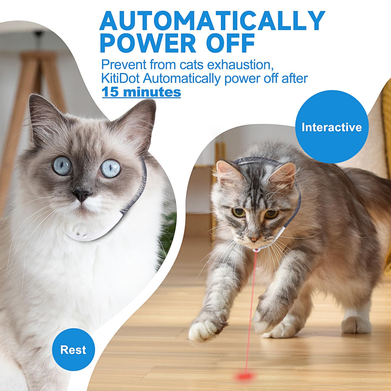 havit Wearable Automatic Cat Toys with LED Lights, Electric Smart Amusing Collar for Kitten, Interactive Cat Toys for Indoor Cats, Pet Exercise Toys, USB Rechargeable, Auto On/Off - Black