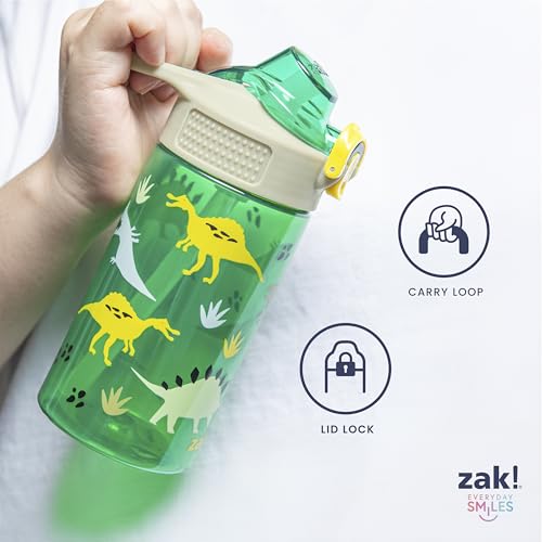 Zak Designs Sage Minecraft Kids Water Bottle For School or Travel, 16oz Durable Plastic Water Bottle With Straw, Handle, and Leak-Proof, Pop-Up Spout Cover (Creeper)