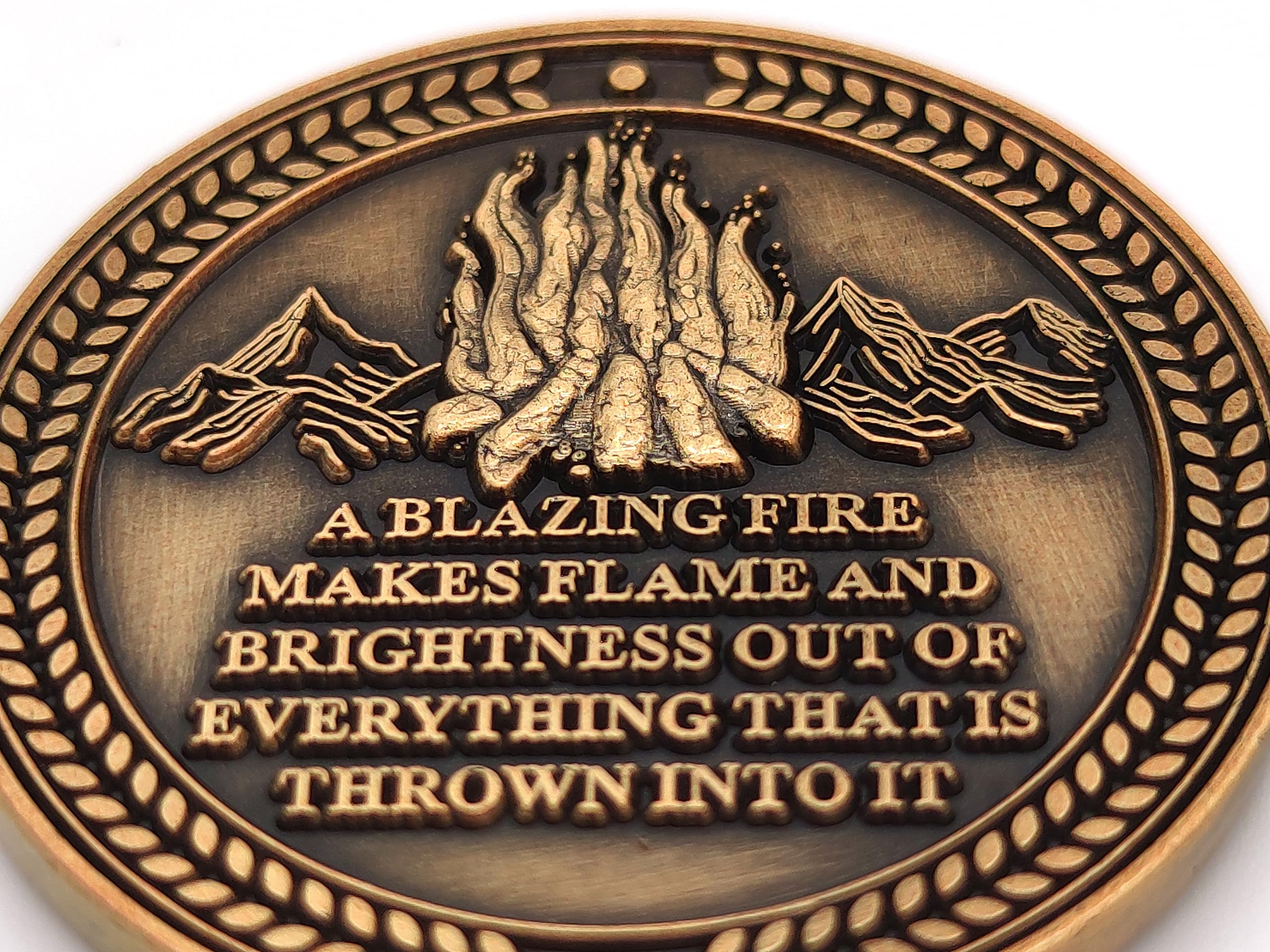 ASVP Shop Amor Fati Coin - Stoic Coin - Challenge Coin for Daily Stoic Practice
