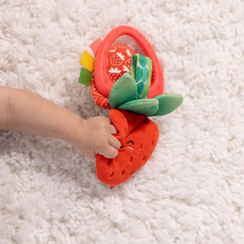 Melissa & Doug Multi-Sensory Peek-a-Boo Berry Take-Along Clip-On Infant Travel Toy Stroller Toy for Baby Newborn to 12m+