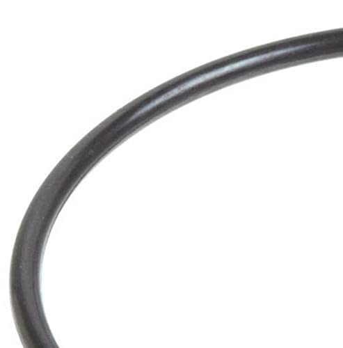 Beaver Island Parts Company Replacement for Lasco Part Number 80227 Schedule 80 2" Union O-Ring (Current Style as of 2019)