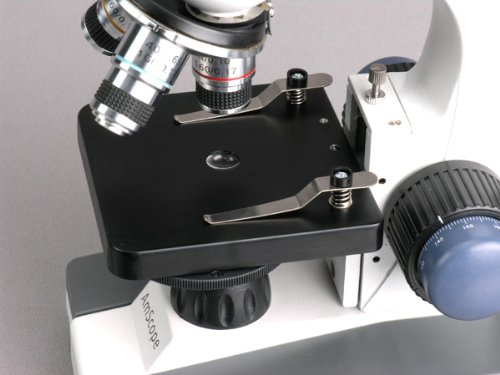 AmScope M150C-E Digital Compound Monocular Microscope, WF10x and WF25x Eyepieces, 40x-1000x Magnification, LED Illumination, Brightfield, Single-Lens Condenser, Coaxial Coarse and Fine Focus, Plain Stage, 110V, Includes 0.3MP Camera and Software