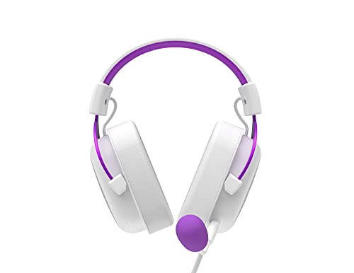 Havit H2002d Gaming Headsets for PS4,PC, 50MM Drivers Surround Sound PS5 Headset with Mic Gaming Headphones with Mic Durable Aluminum Frame