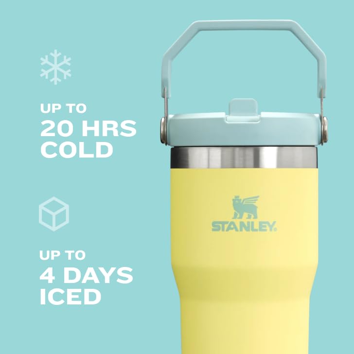 Stanley IceFlow Flip Straw Tumbler with Handle 20 oz | Twist On Lid and Flip Up Straw | Leak Resistant Water Bottle | Insulated Stainless Steel |BPA-Free | Citron