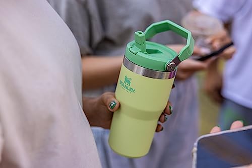 Stanley IceFlow Flip Straw Tumbler with Handle 20 oz | Twist On Lid and Flip Up Straw | Leak Resistant Water Bottle | Insulated Stainless Steel |BPA-Free | Citron
