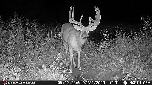 STEALTH CAM Fusion X-Pro Dual Sim 36 MP Photo & 720P HD Video 0.4 Sec Trigger Speed Wireless Hunting Trail Camera - Available on AT&T & Verizon