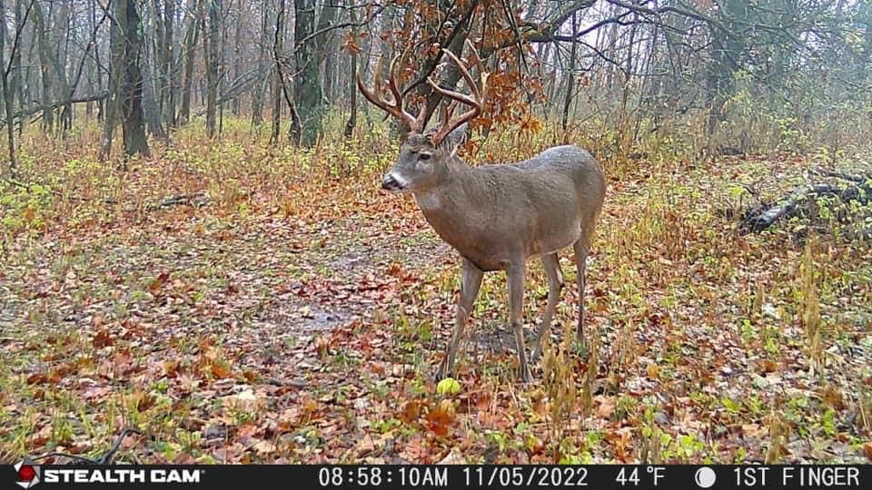 STEALTH CAM Fusion X-Pro Dual Sim 36 MP Photo & 720P HD Video 0.4 Sec Trigger Speed Wireless Hunting Trail Camera - Available on AT&T & Verizon