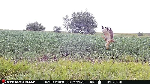 STEALTH CAM Fusion X-Pro Dual Sim 36 MP Photo & 720P HD Video 0.4 Sec Trigger Speed Wireless Hunting Trail Camera - Available on AT&T & Verizon
