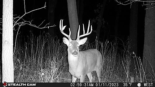 STEALTH CAM Fusion X-Pro Dual Sim 36 MP Photo & 720P HD Video 0.4 Sec Trigger Speed Wireless Hunting Trail Camera - Available on AT&T & Verizon