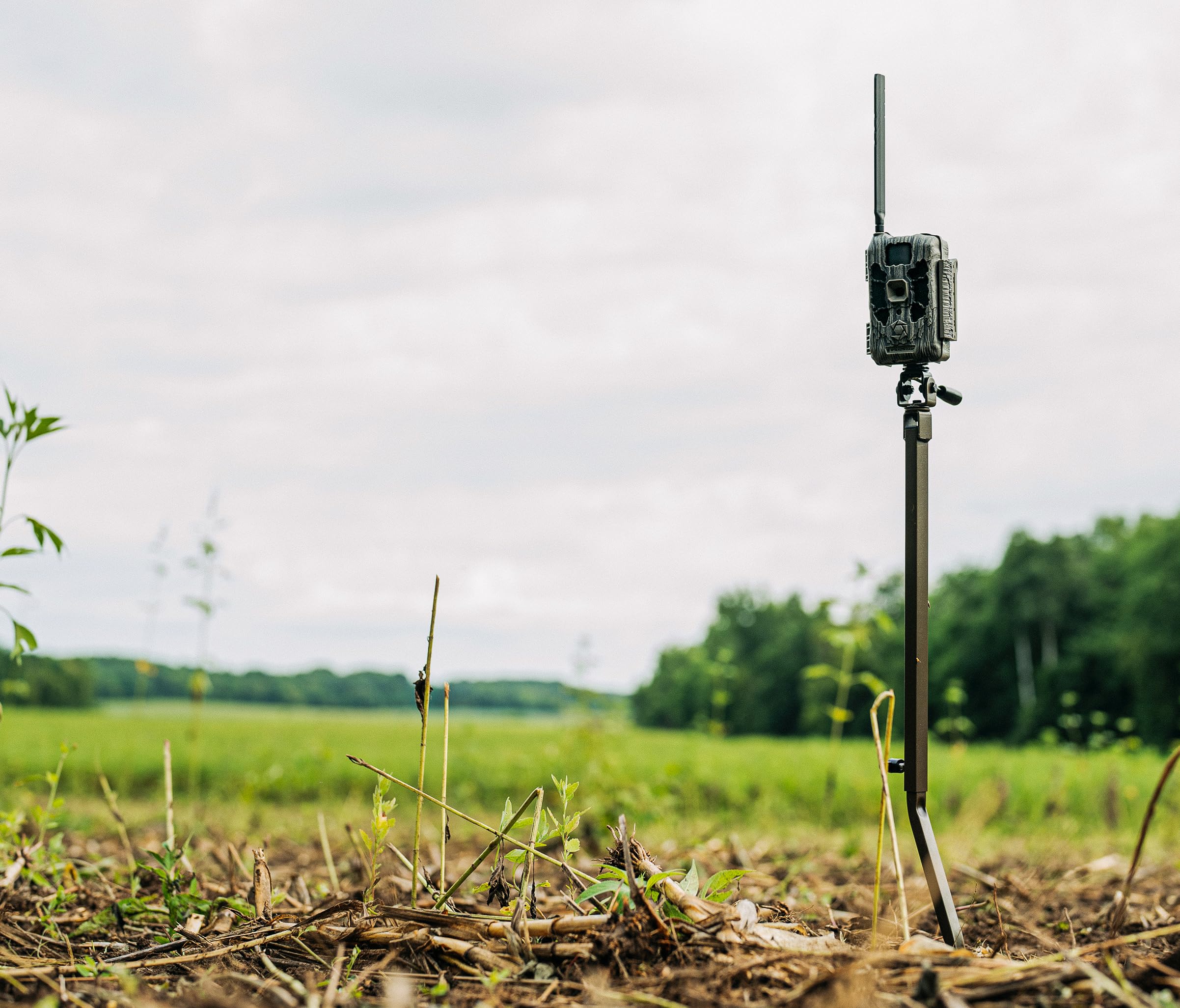 Stealth Cam Deceptor NO GLO 80ft Detection & IR Range 40MP Photo 1440P HD Video Capture Remote App Contol Wireless Hunting Cellular Trail Camera - Available on AT&T & Verizon