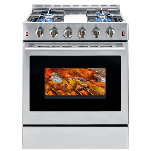 30 inch Gas Range Oven Gas Range Convection Oven Stove Stainless Steel Freestanding 5.56 cu.ft.4 Burners 42000BTU Large 3 Layers Tempered Glass Door Heavy Duty
