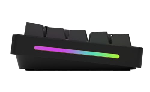 Glorious GMMK Macro Pad - Black Mechanical Numpad - 10 Key USB Keypad - Hotswap, Programmable Volume Knob, RGB Backlit, Wired & Wireless Bluetooth- Gaming Keyboard Number Pad