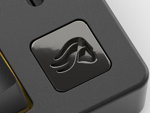 Glorious GMMK Macro Pad - Black Mechanical Numpad - 10 Key USB Keypad - Hotswap, Programmable Volume Knob, RGB Backlit, Wired & Wireless Bluetooth- Gaming Keyboard Number Pad