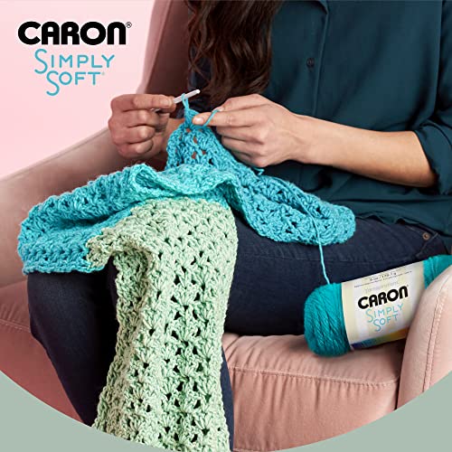 Caron Simply Soft Lavender Blue Yarn - 3 Pack of 170g/6oz - Acrylic - 4 Medium (Worsted) - 315 Yards - Knitting/Crochet