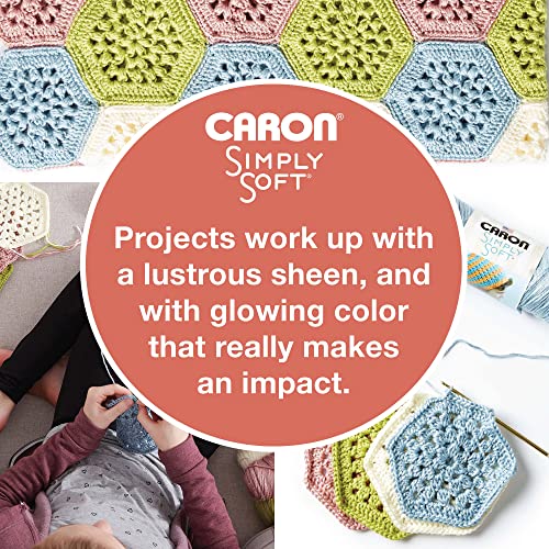 Caron Simply Soft Lavender Blue Yarn - 3 Pack of 170g/6oz - Acrylic - 4 Medium (Worsted) - 315 Yards - Knitting/Crochet